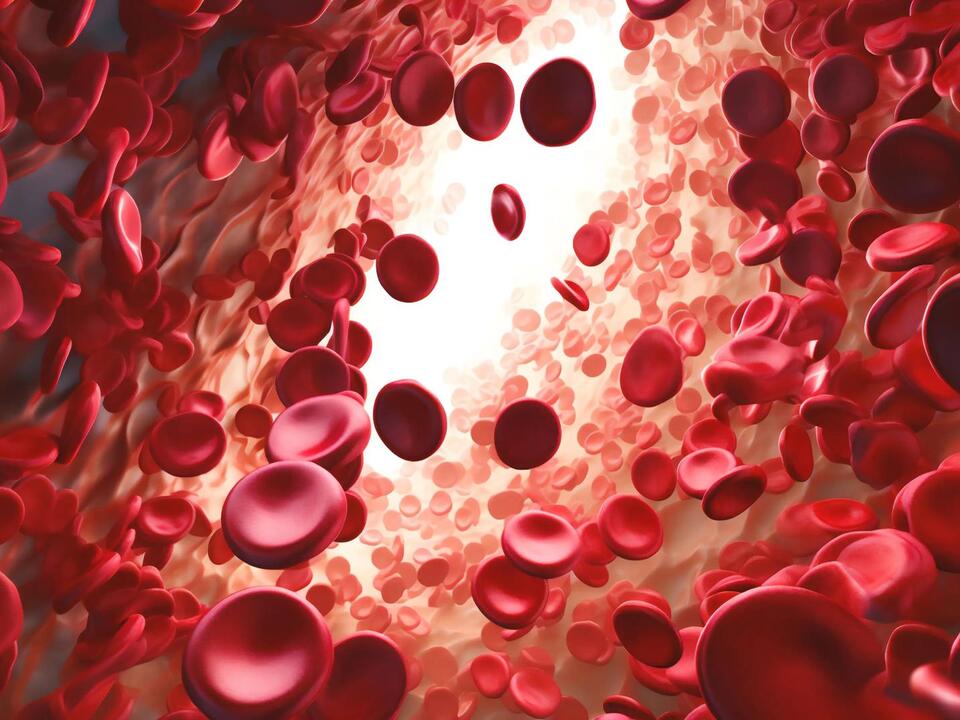 FDA Grants NX-5948 Fast Track Designation in R/R Waldenström ...