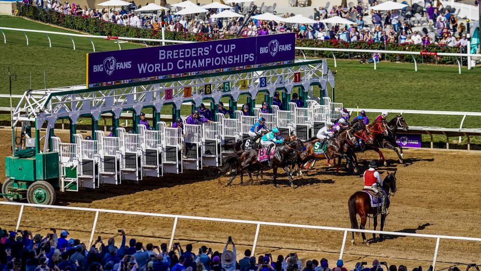 Understanding the Language of Horse Racing: Key Terms, Phrases to Know ...