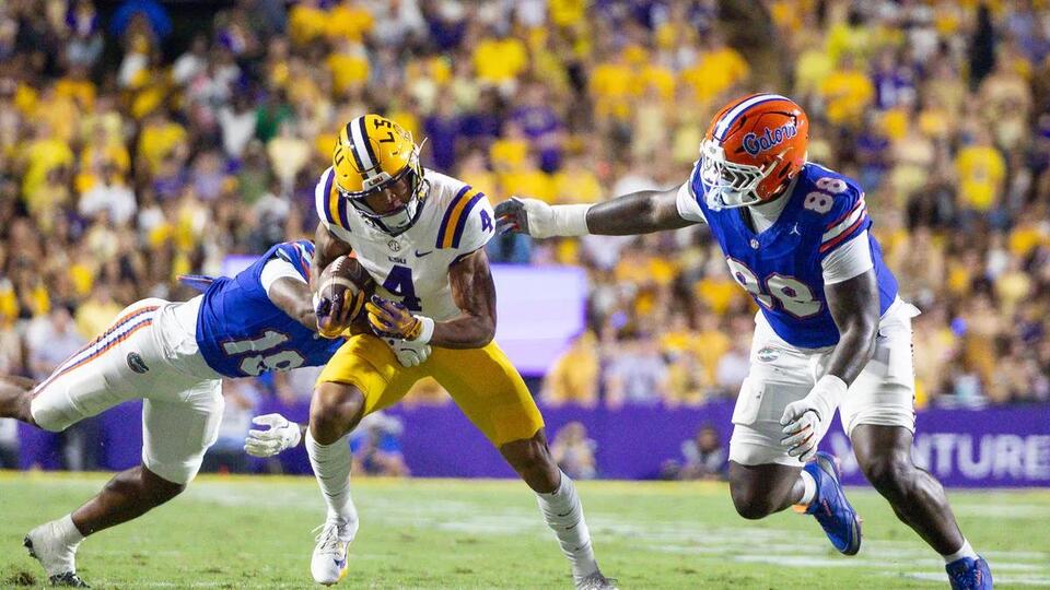 Watch LSU football's Nic Anderson make circus catch for a touchdown ...