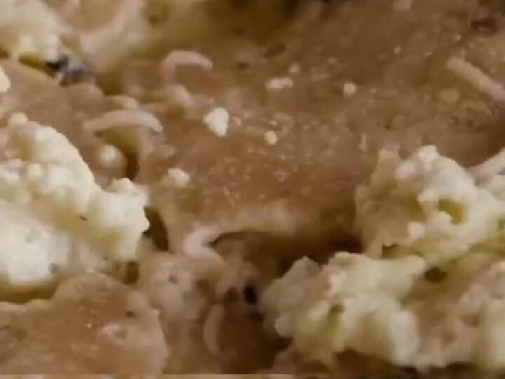 This rare Italian cheese is FILLED with live maggots