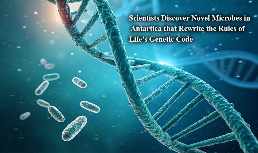 Scientists Discover Novel Microbes in Antartica that Rewrite the Rules ...