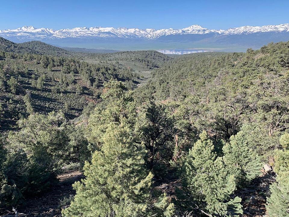 $100 million California Climate Action Seed and Matching Grants ...