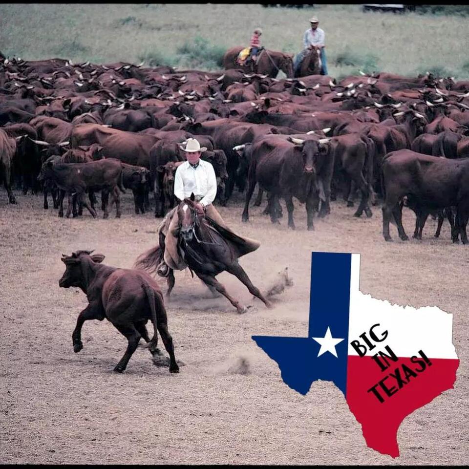 The Biggest Ranch In Texas Is Absolutely Insane In Size - NewsBreak