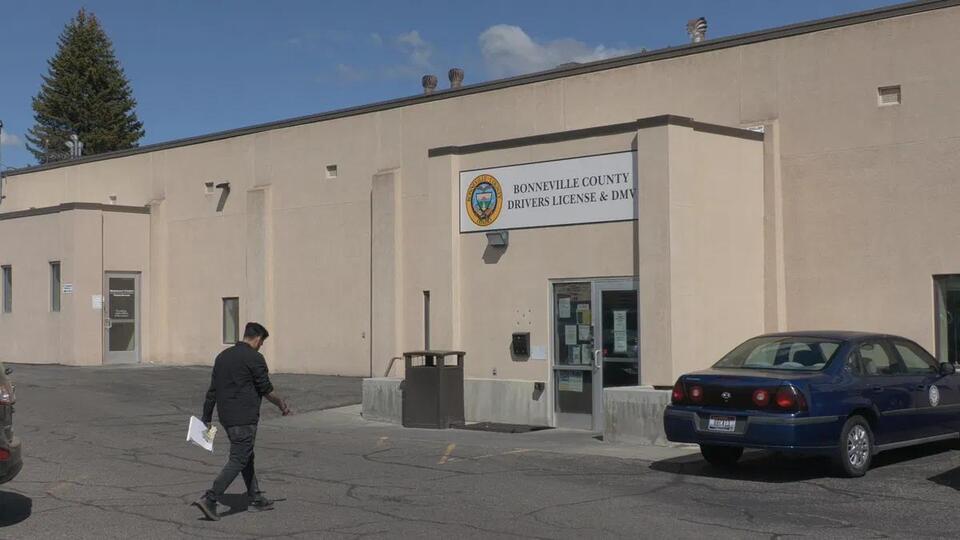 New laws bring changes to DMV services in 2025 - NewsBreak