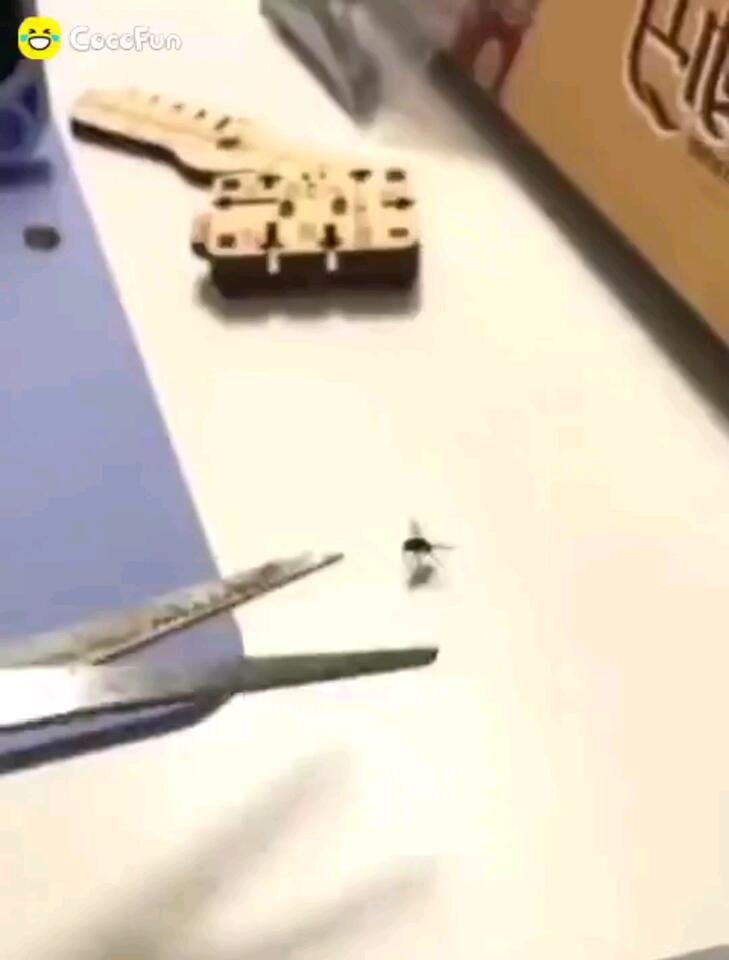 #funny #meme - NewsBreak