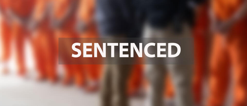 Florida man sentenced to 20 years for human trafficking and ...