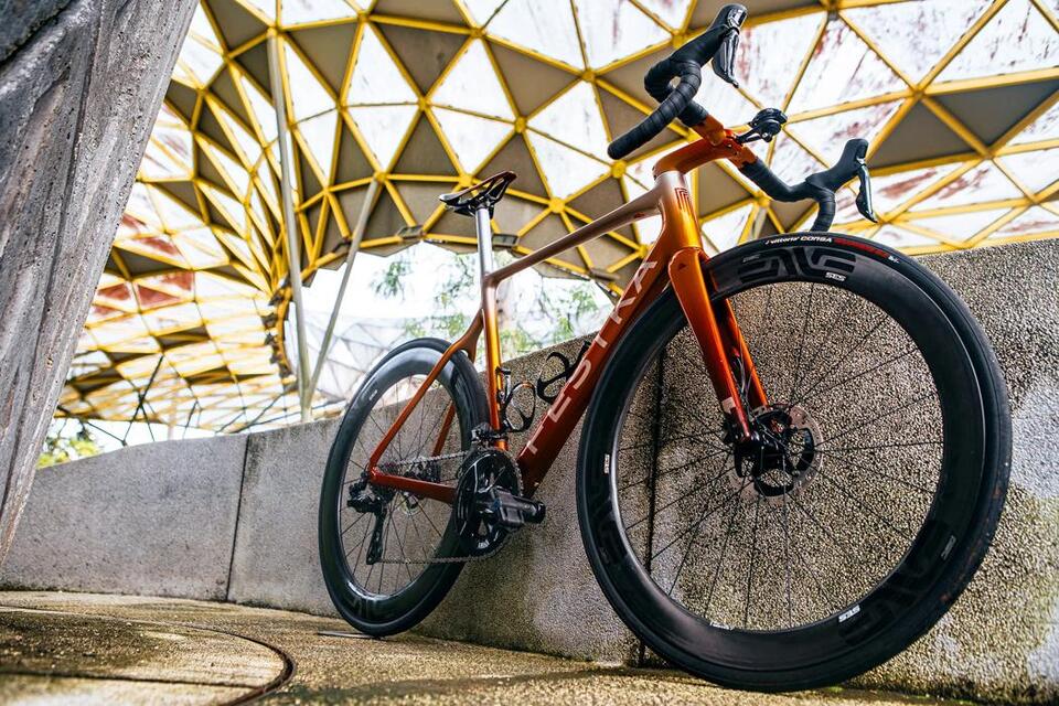 5 Most Popular Custom Festka Bikes of 2024 - NewsBreak