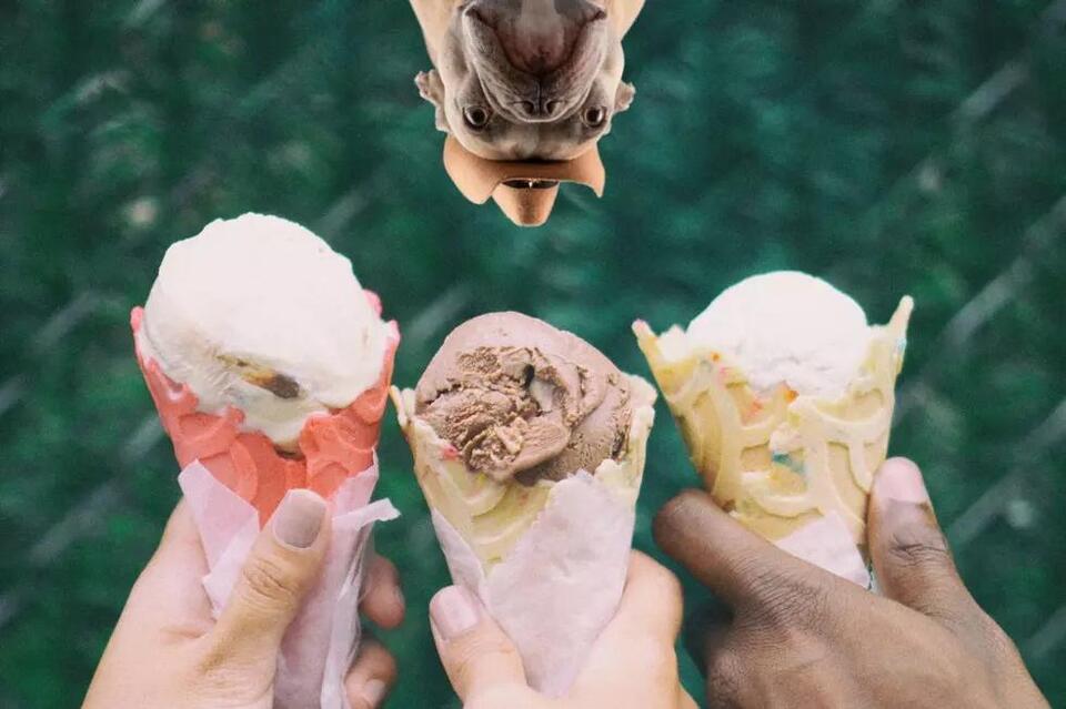 Ever Had One of These Six Now-Rare Ice Cream Flavors? - NewsBreak