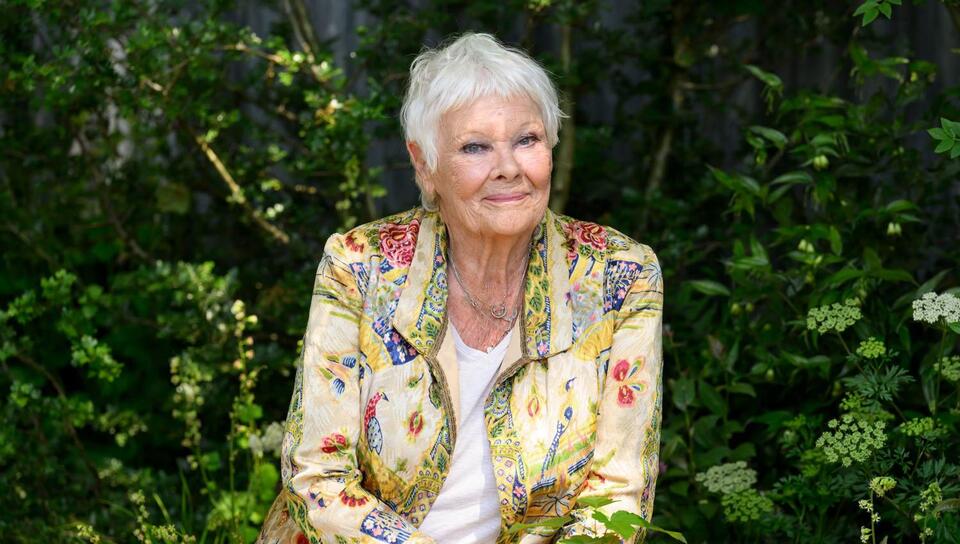 Judi Dench, 90, Reveals Health Condition’s Toll on Career - NewsBreak