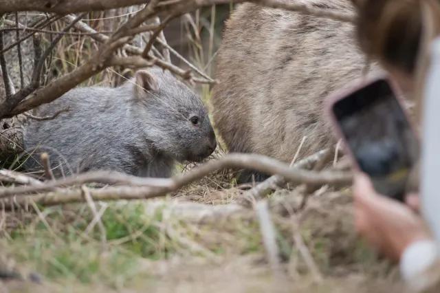 Influencer flees country after posting shocking video of herself ...