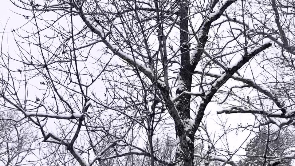 Staying warm can be dangerous: How to protect your home from carbon ...