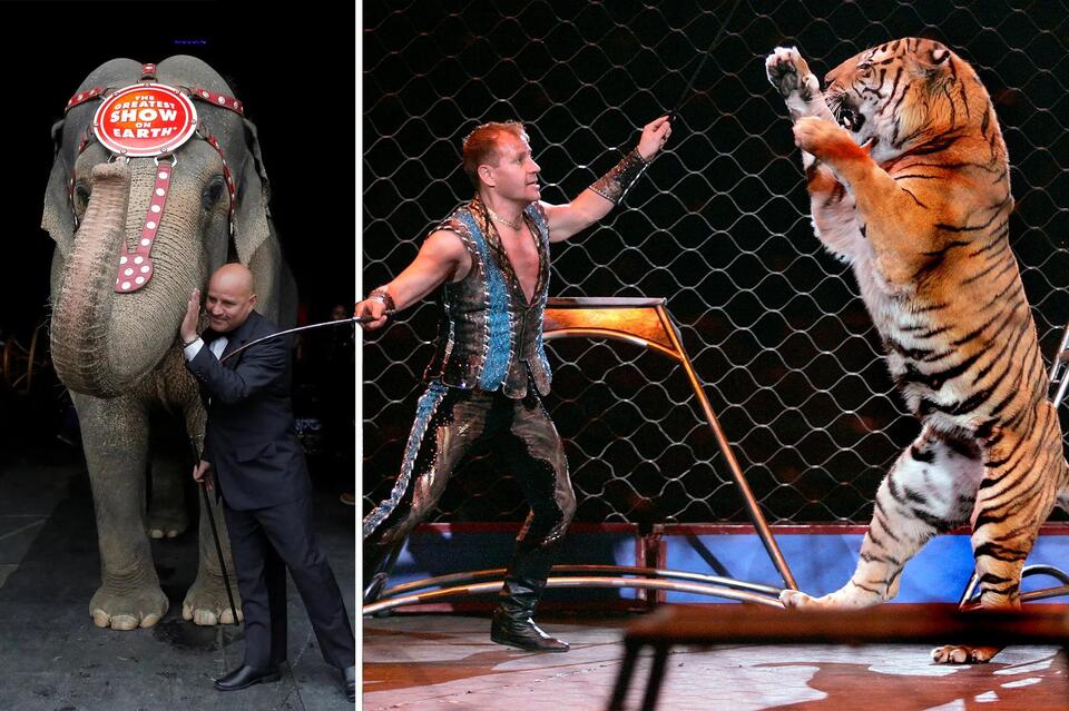 Ringling Bros. back in NYC after years-long hiatus — but without iconic ...