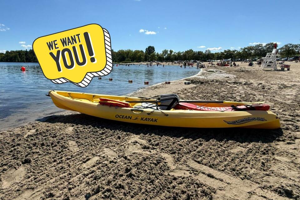 Look It's Time to Apply For A New York State Park Job - NewsBreak