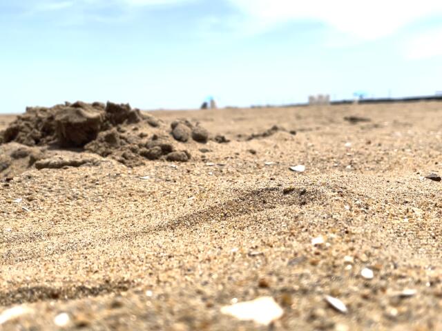 Head of VB lifeguards warns of dangers of digging large holes in beach ...