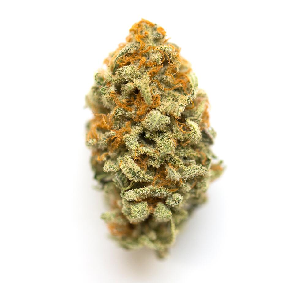 The 20 Most Popular Cannabis Strains in the United States as of May ...