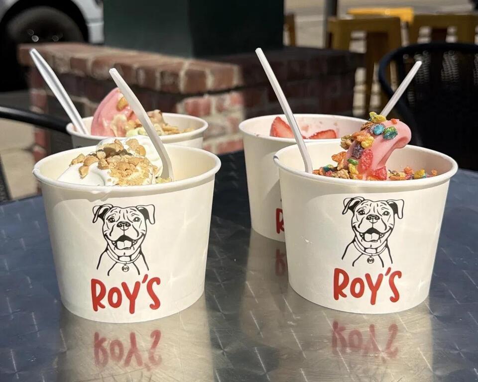 New frozen yogurt shop opens in Orcutt - NewsBreak