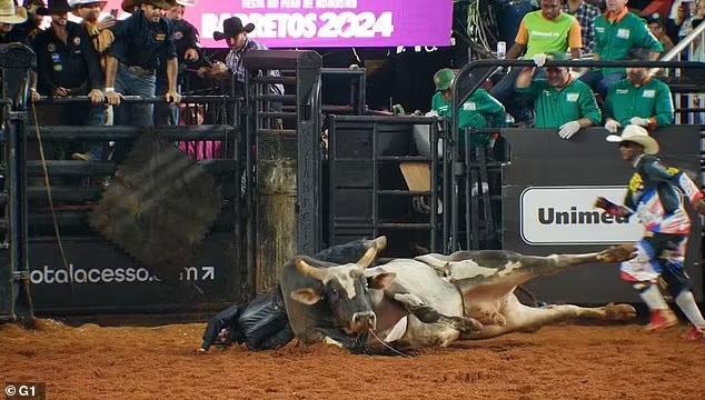 American bull rider injured after attack by beast named Mickey Mouse ...