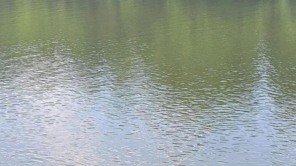 Man dies after falling off boat on Norris Lake - NewsBreak