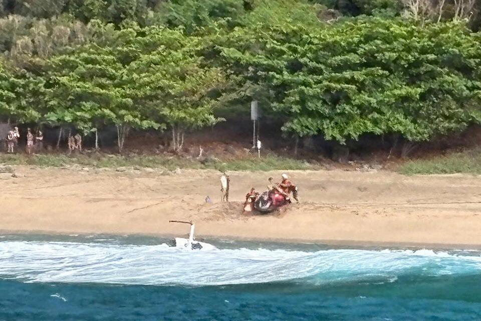 Pilot says Hawaii tour helicopter vibrated and spun before crash killed ...