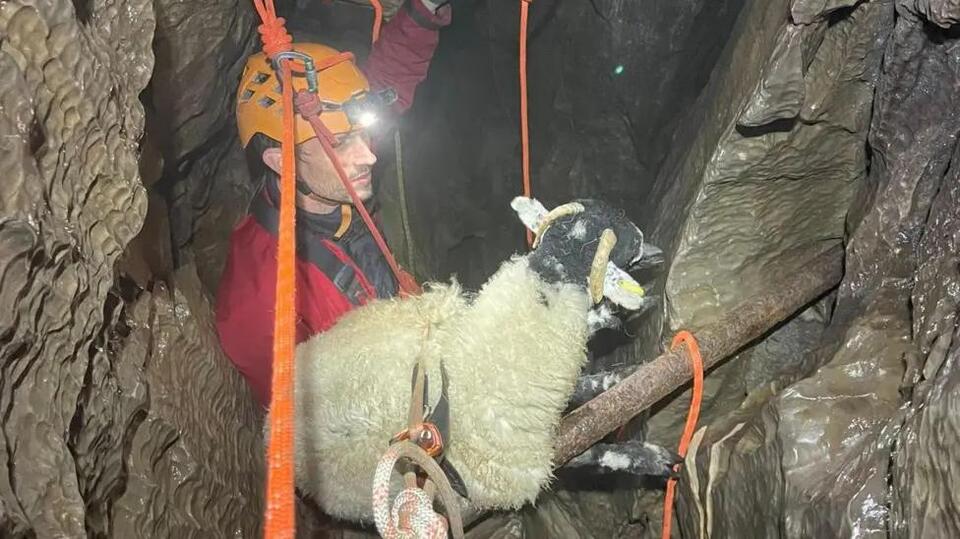 Cavers rescue sheep trapped underground - NewsBreak