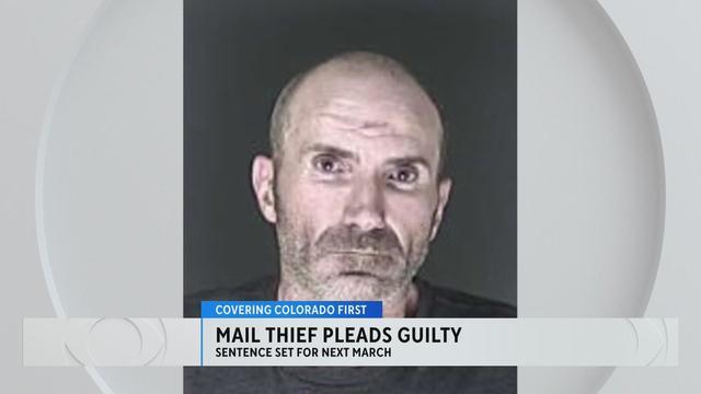Mail theft suspect faces up to five years in prison after pleading ...