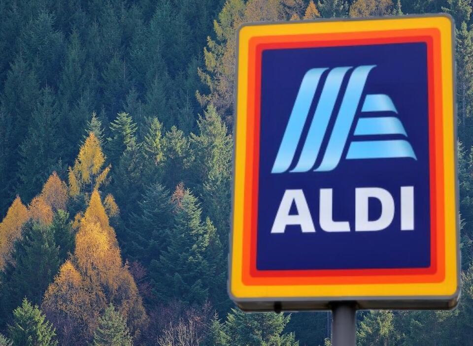 7 Best Aldi Fall Finds Just Arrived in Stores - NewsBreak