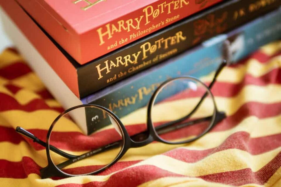 What Kind of Dog Is Fang From ‘Harry Potter’? Breed Information ...