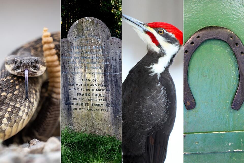 10 Creepy Texas Superstitions That Might Actually Be True - NewsBreak