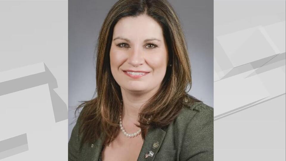 DFL-endorsed Minnesota House candidate accused of harassing opponent ...