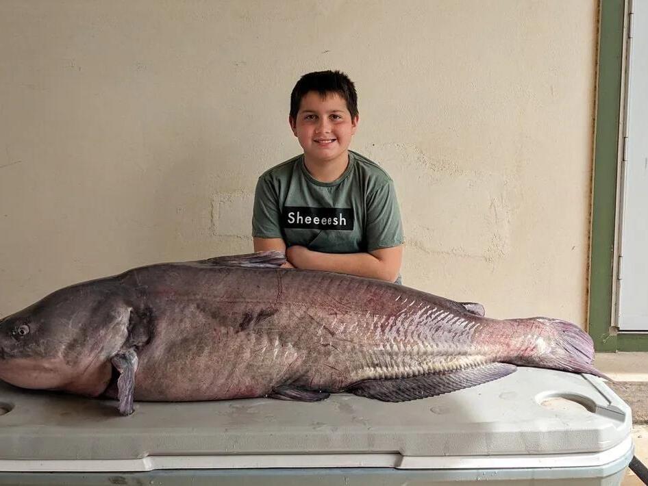 9-Year-Old In Texas Catches 50 Pound Blue Catfish 1 Pound Shy Of ...