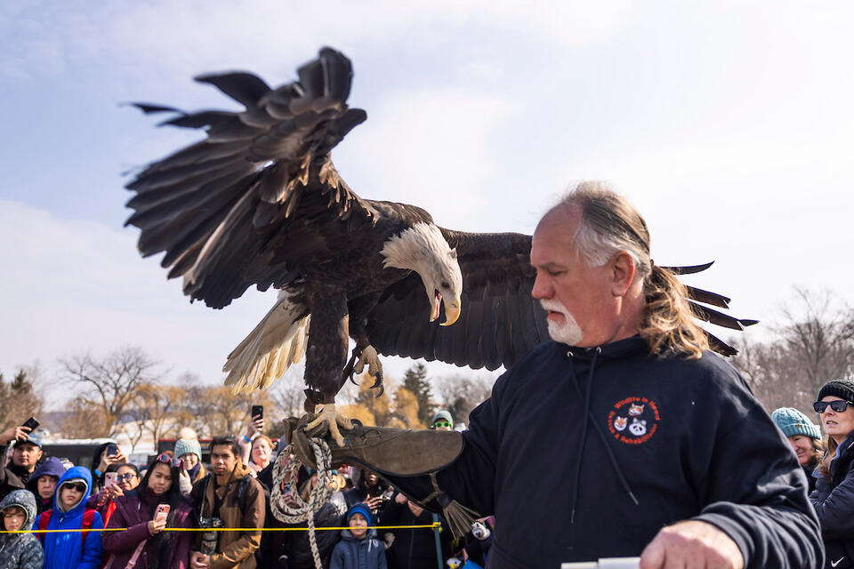Thousands Attend EagleFest 2026 at Croton Point Park - NewsBreak