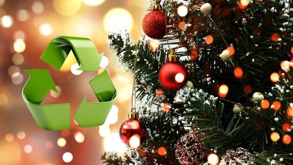Ocean City announces details for free Christmas tree recycling - NewsBreak