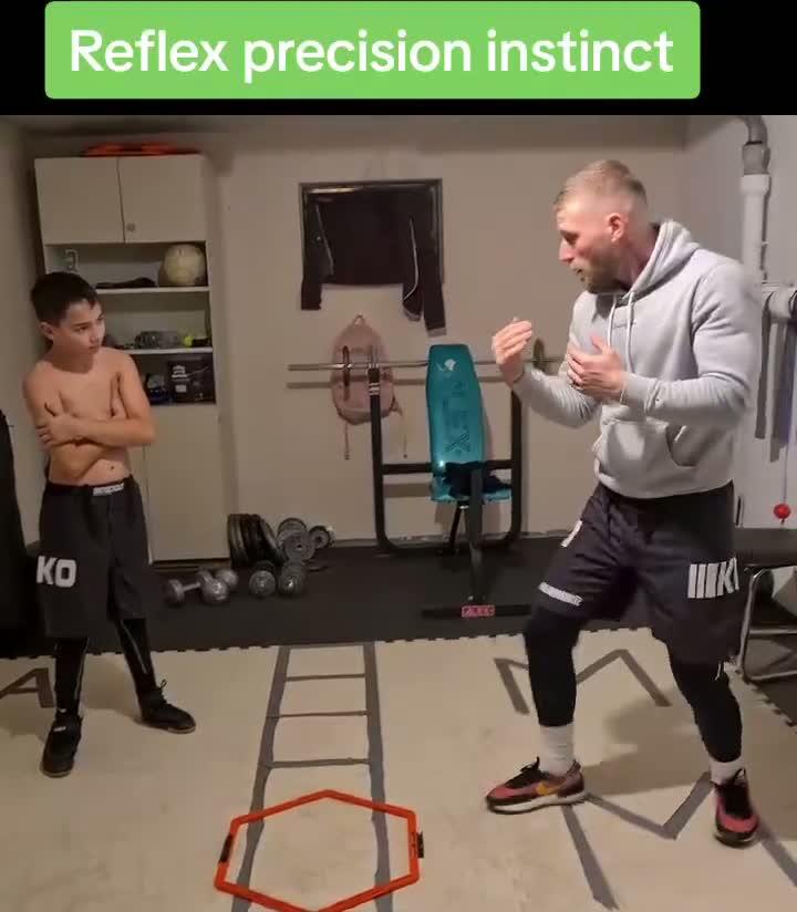 Reflex precision instinct boxing fast defender reflex fy ultrainstinct ...