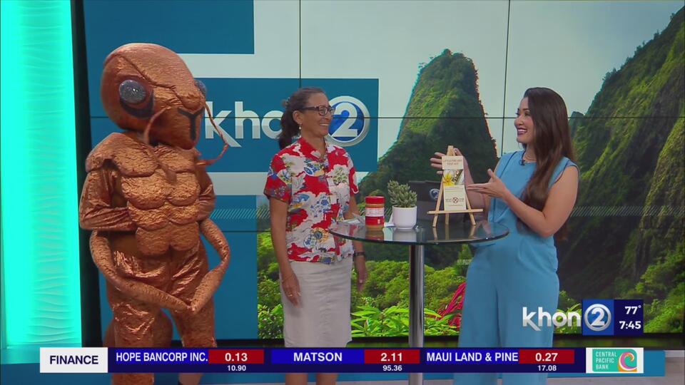 ‘Stop The Ant Month’ encourages residents to collect samples even if ...