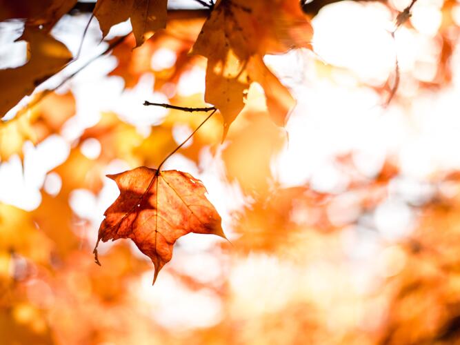 Ely Daily Weather Forecast