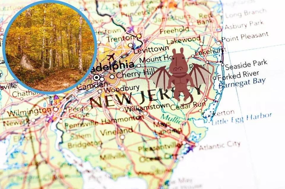 Exploring The Mysterious Pine Barrens: Home To The Legendary Jersey ...