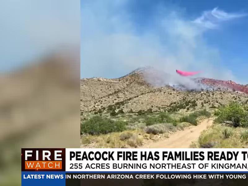 Peacock Fire burning near Kingman has families ready to evacuate