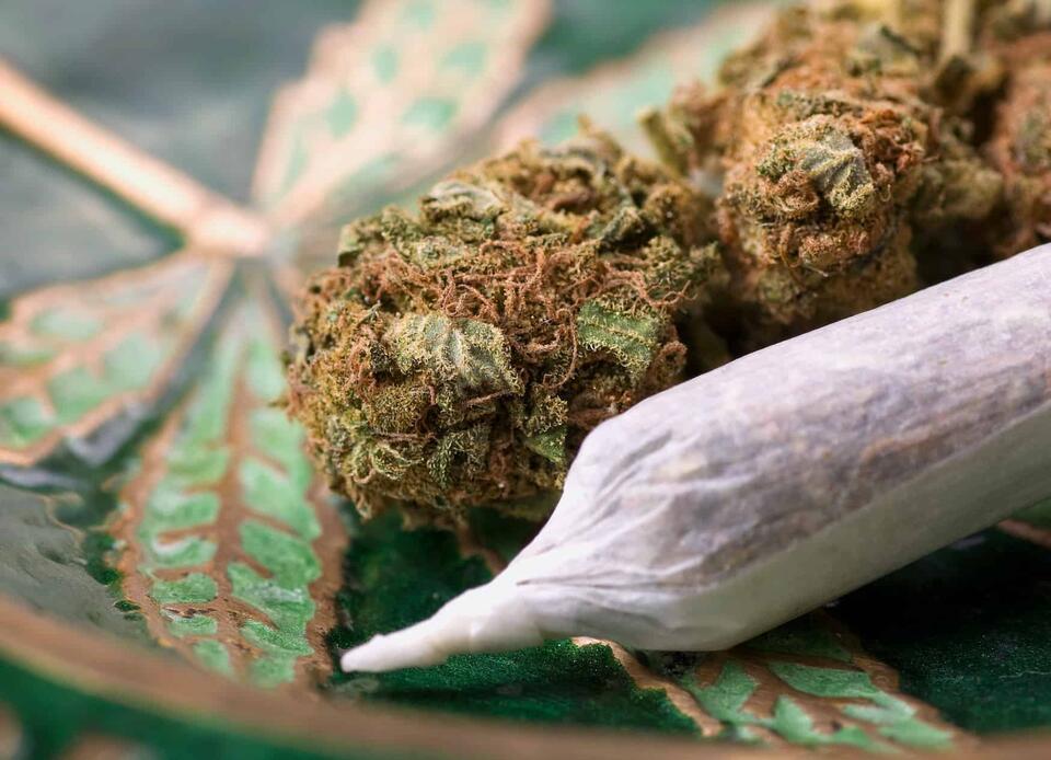 Study: Most Chronic Pain Patients Report Daily Marijuana Use With High ...