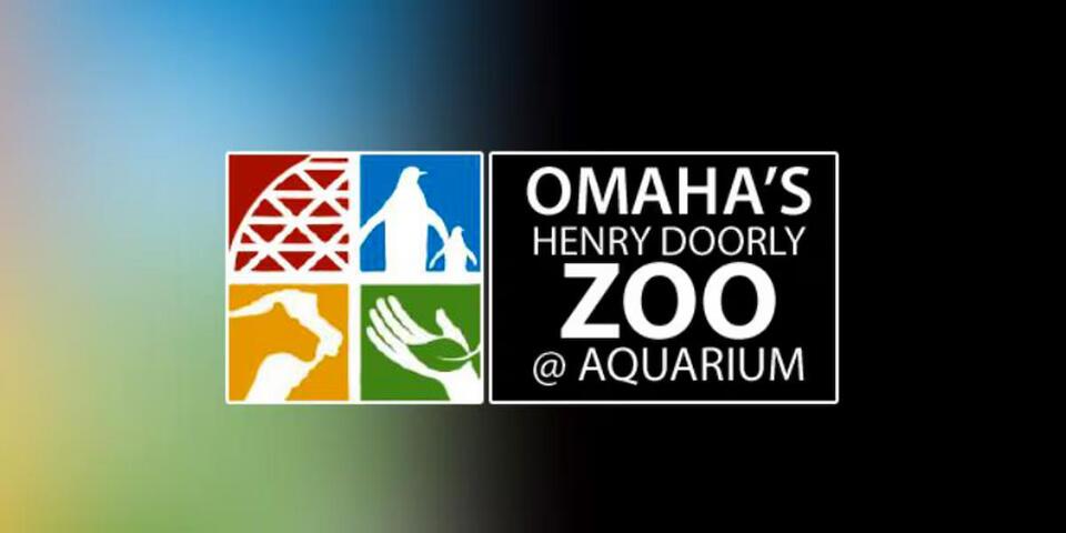 New 3-year-old rhino settling in at Omaha’s Henry Doorly Zoo - NewsBreak