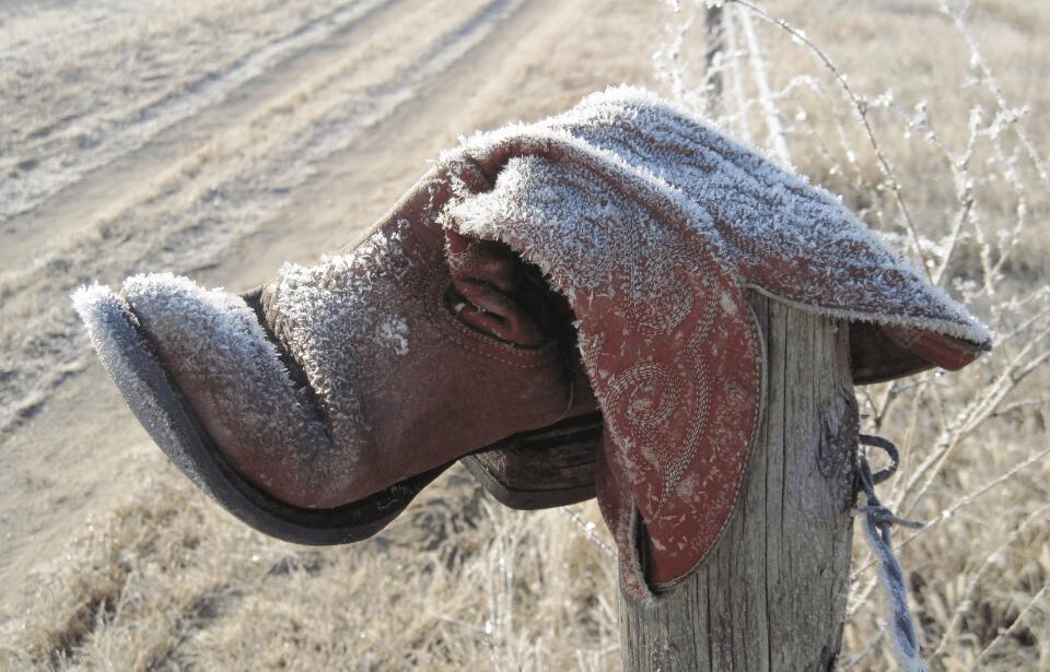 See A Boot On A Fence Post? This Is What It Means - NewsBreak