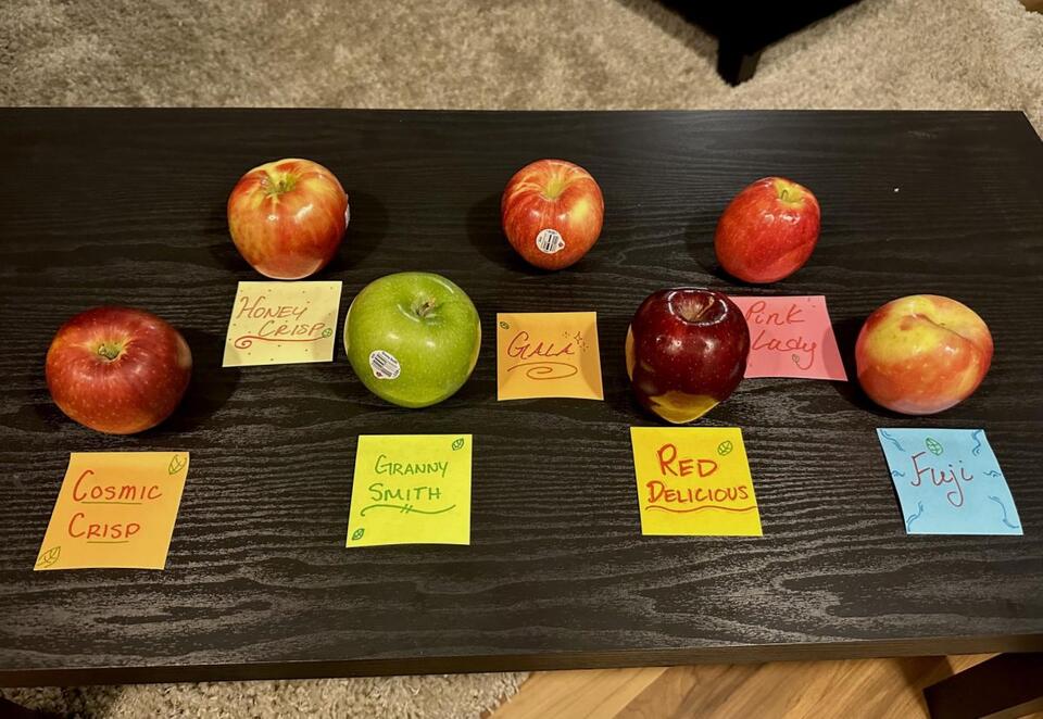 The best and worst apple varieties, from a Washingtonian - NewsBreak