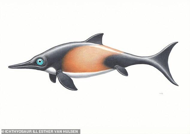 Ichthyosaurs had BLUBBER just like whales! Ancient marine reptile that ...