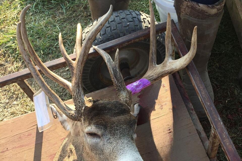 Michigan Hunters First Saturday Opener in 11 Years — See Last Year’s ...