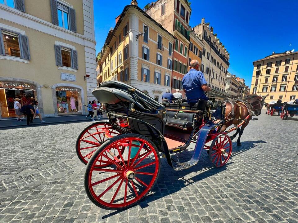 Ditch the Car: Lubbock's Best Horse-Drawn Carriage Options - NewsBreak