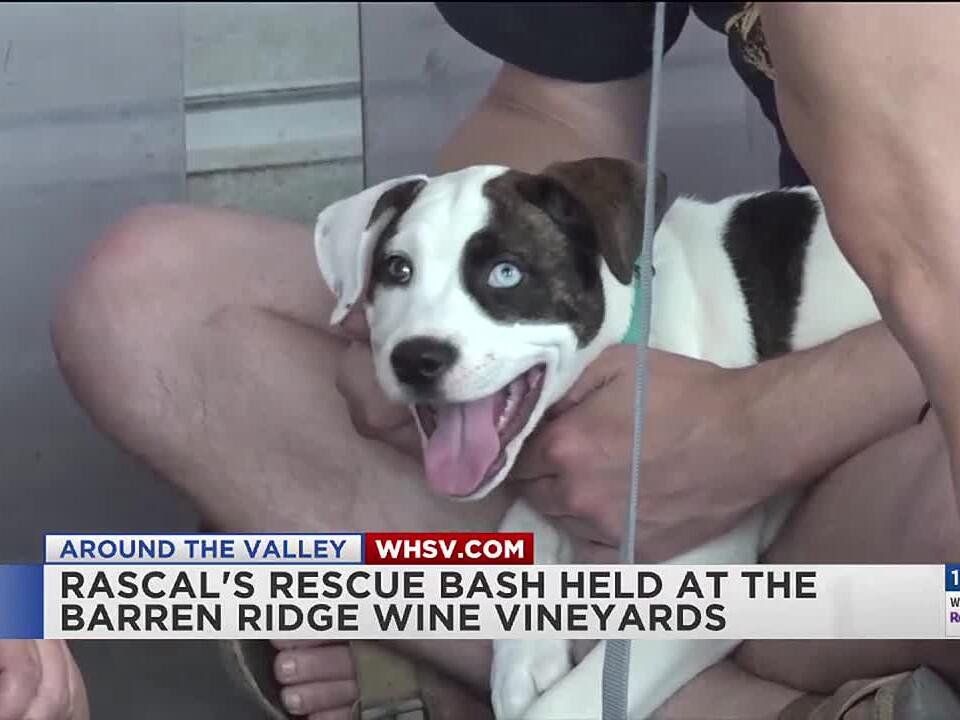 Rascal's Rescue Bash