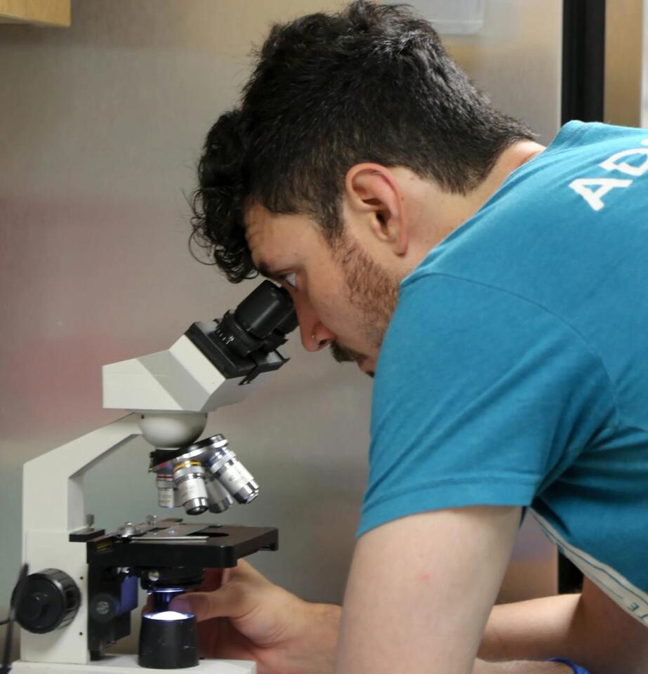 California travelers urged to protect wounds from parasite - NewsBreak