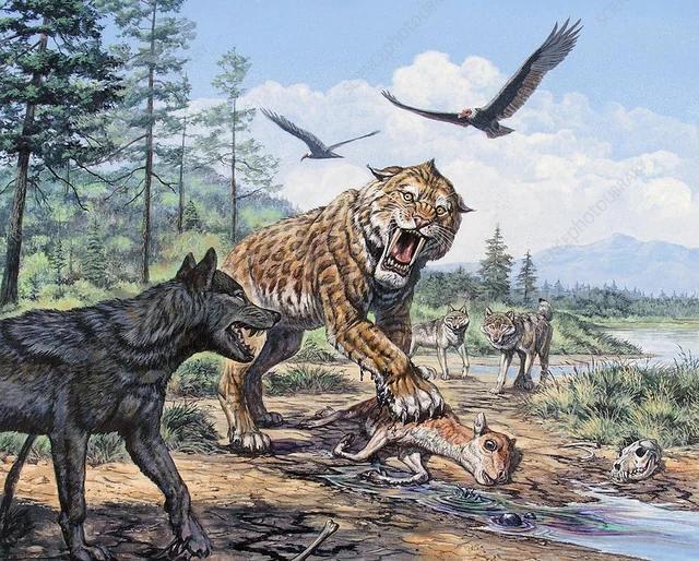 How the First Humans to Arrive in the Americas Probably Encountered ...