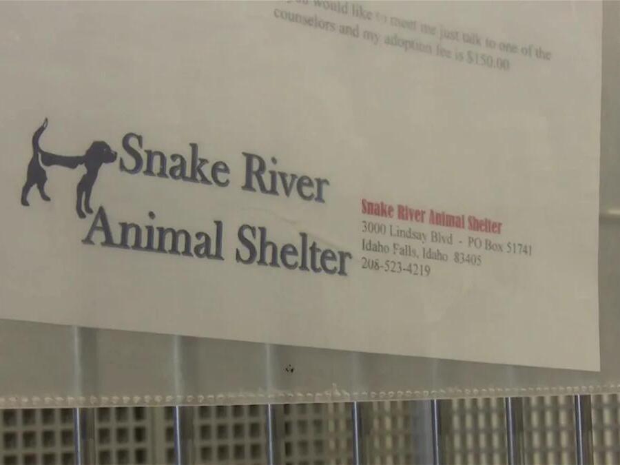 Snake River Animal Shelter to handle county strays