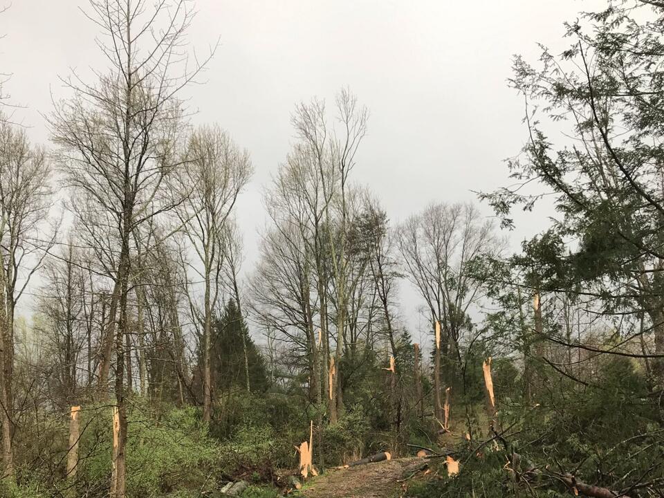 NWS confirms additional tornadoes in Kanawha County NWS confirms additional tornadoes in Kanawha County