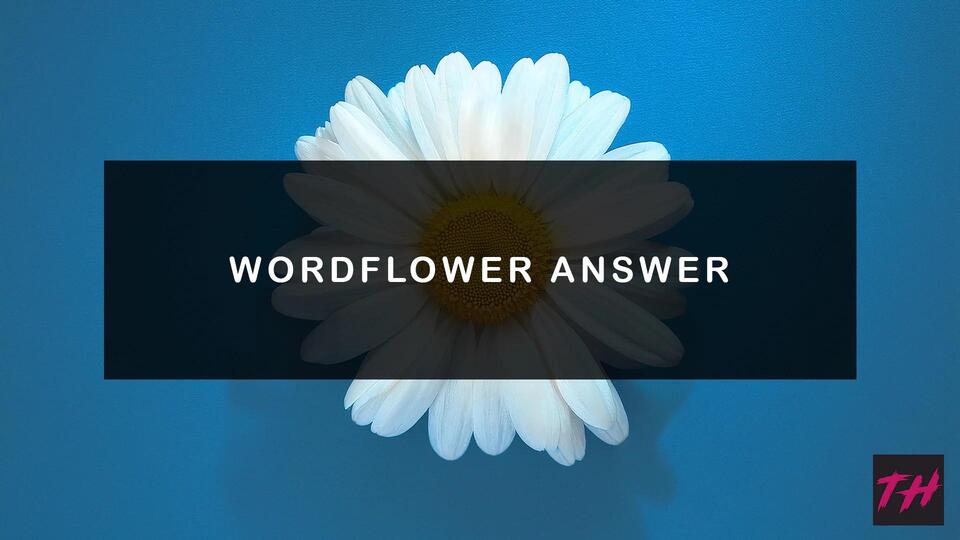 LA Times Wordflower Answers Today - NewsBreak